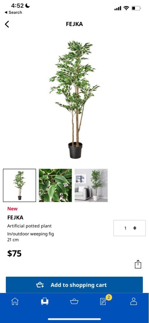 IKEA fig tree (Fejka), Furniture & Home Living, Home Decor, Artificial ...