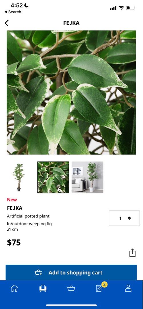 IKEA fig tree (Fejka), Furniture & Home Living, Home Decor, Artificial ...