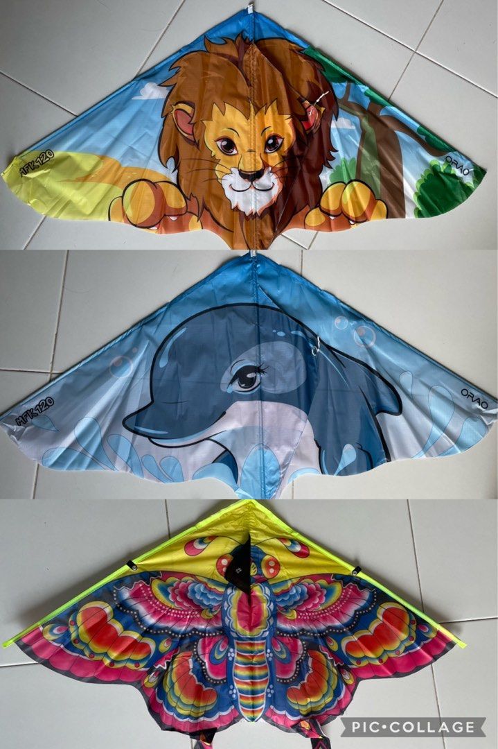Kites/decathlon MFK 120, Sports Equipment, Sports & Games, Kites on ...