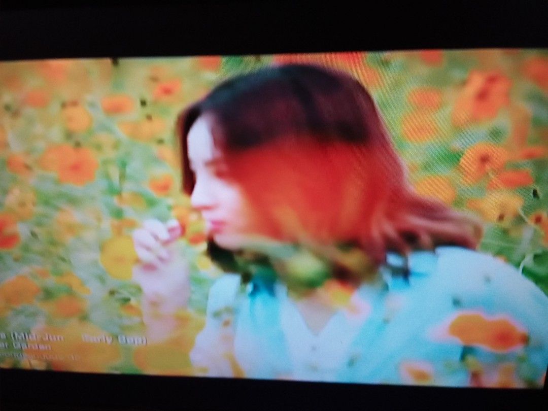 Miss Fowler, Fall DVD KOREA TOURISM ORGANIZATION, 興趣及遊戲, 音樂樂器 & 配件, 音樂與 ...