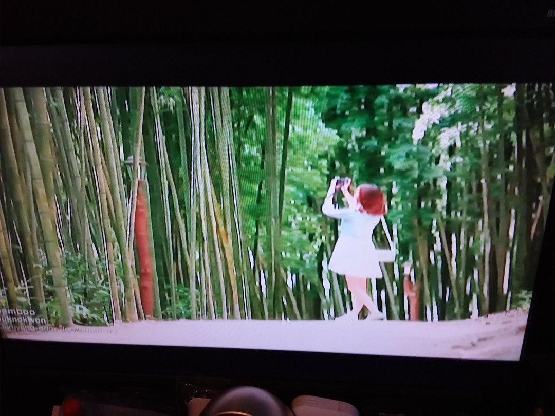 Miss Fowler, Fall DVD KOREA TOURISM ORGANIZATION, 興趣及遊戲, 音樂樂器 & 配件, 音樂與 ...