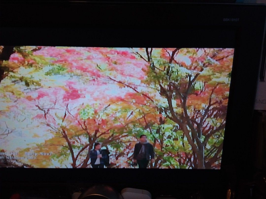 Miss Fowler, Fall DVD KOREA TOURISM ORGANIZATION, 興趣及遊戲, 音樂樂器 & 配件, 音樂與 ...