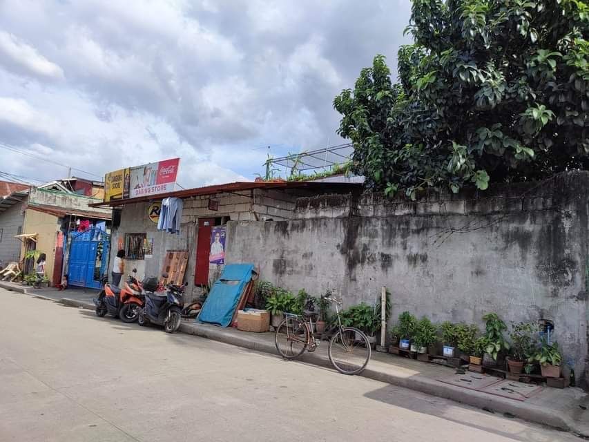 Panghulo, Malabon, Property, For Sale, House & Lot on Carousell