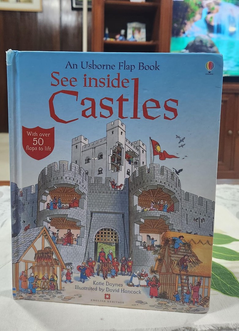 See Inside Castles Flap Book on Carousell