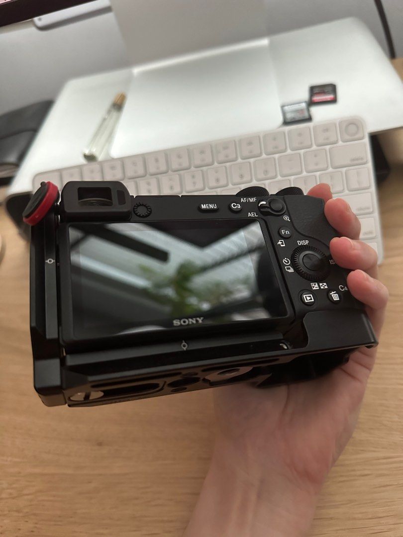 Sony A6600 Mirrorless Camera with Smallrig L-Bracket, Photography ...