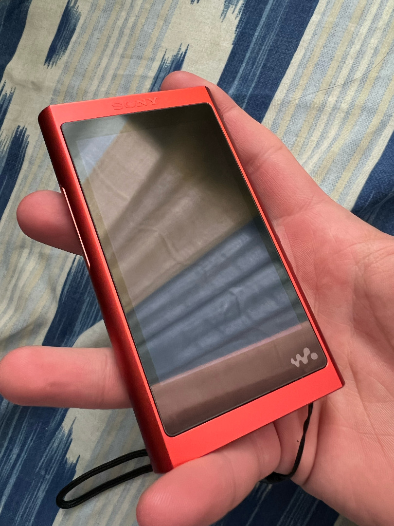 Sony NW-A55 Walkman, Audio, Portable Music Players on Carousell