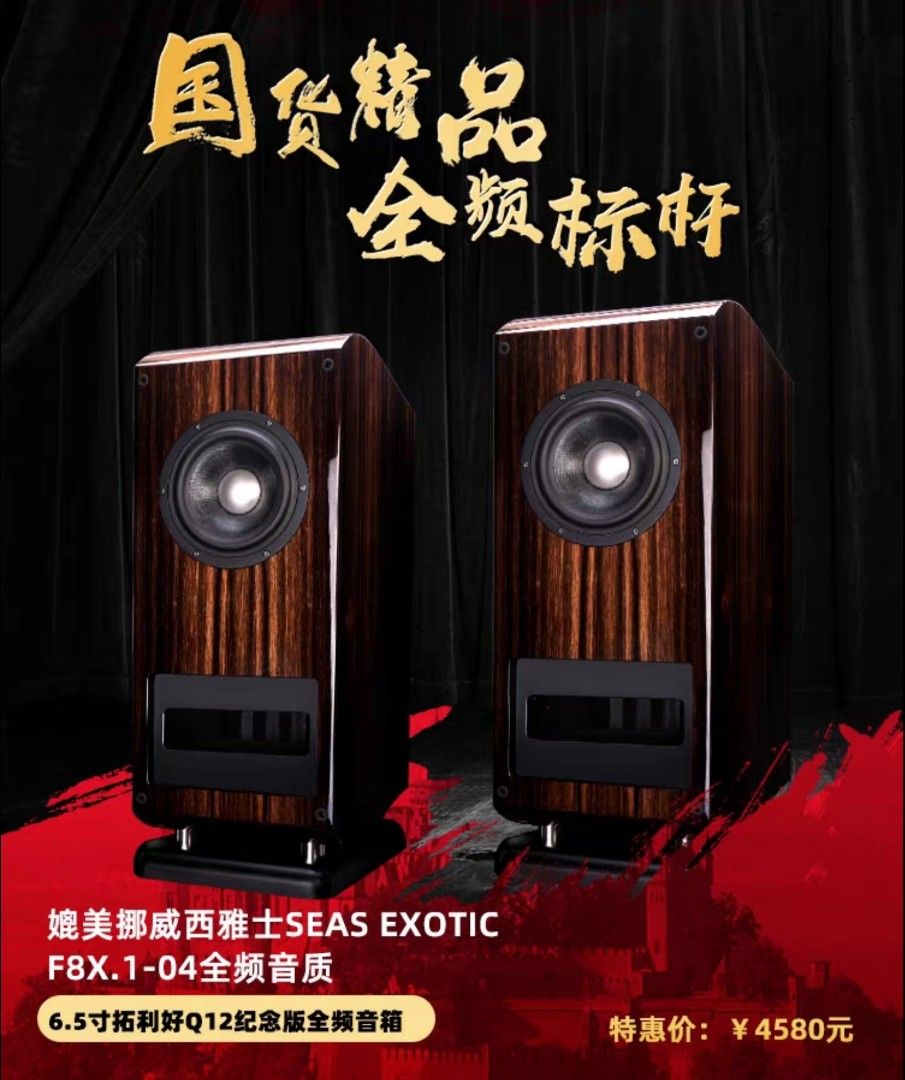 TLH Q12 Seas Exotic F8X.1-04 6.5" Coaxial Speakers (well known for the ...