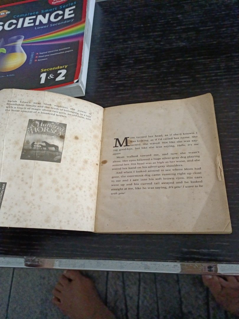 A Dog Called Homeless by Sarah Lean, Hobbies & Toys, Books & Magazines ...