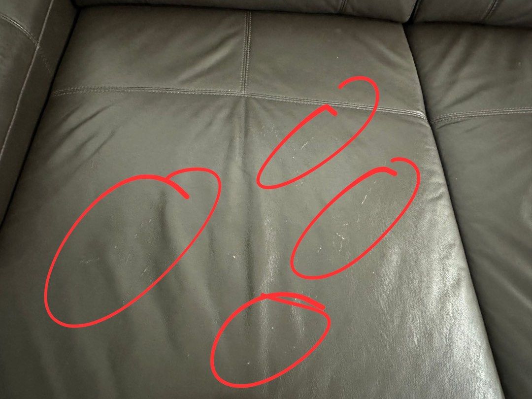 Custom 2 seater sofa - extendable leg and head rest, Furniture & Home ...