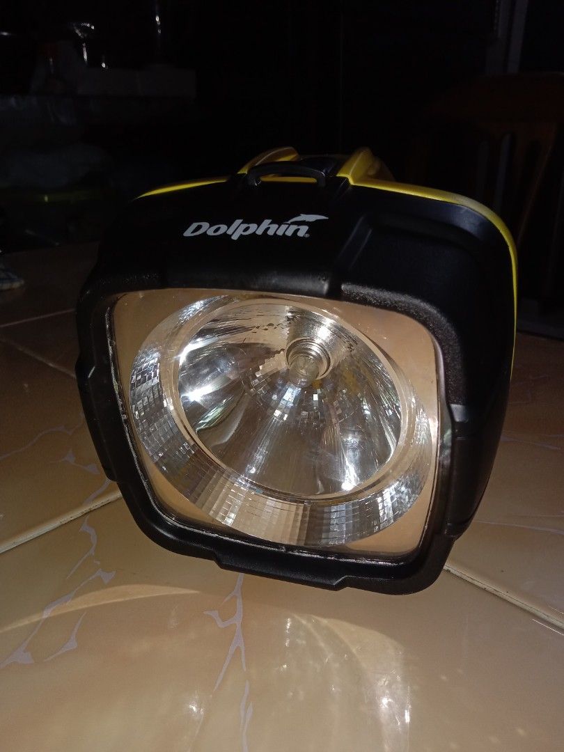 Eveready Dolphin Torch Light 002, Furniture & Home Living, Home ...