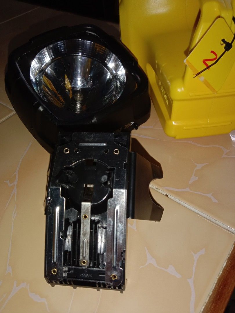 Eveready Dolphin Torch Light 002, Furniture & Home Living, Home ...