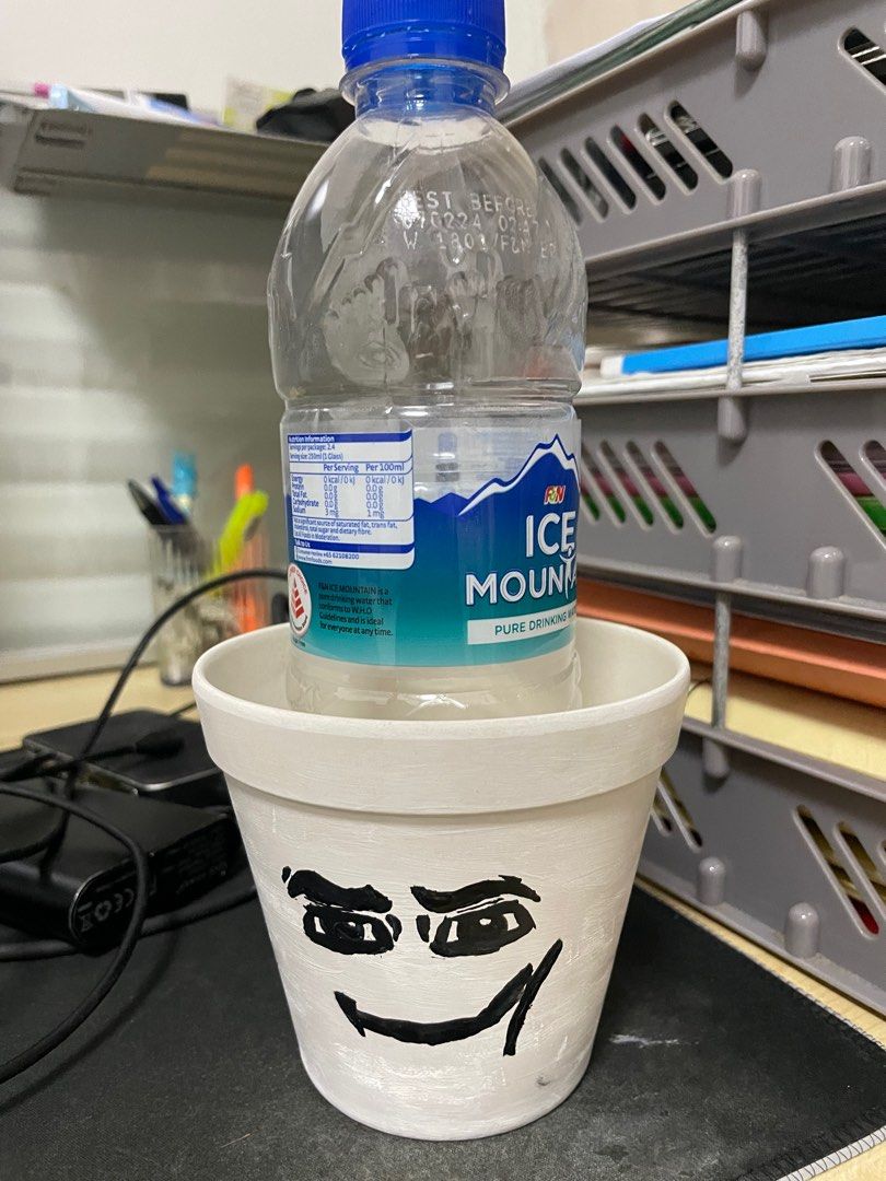 flower pot with roblox man face painted on it, Everything Else on Carousell