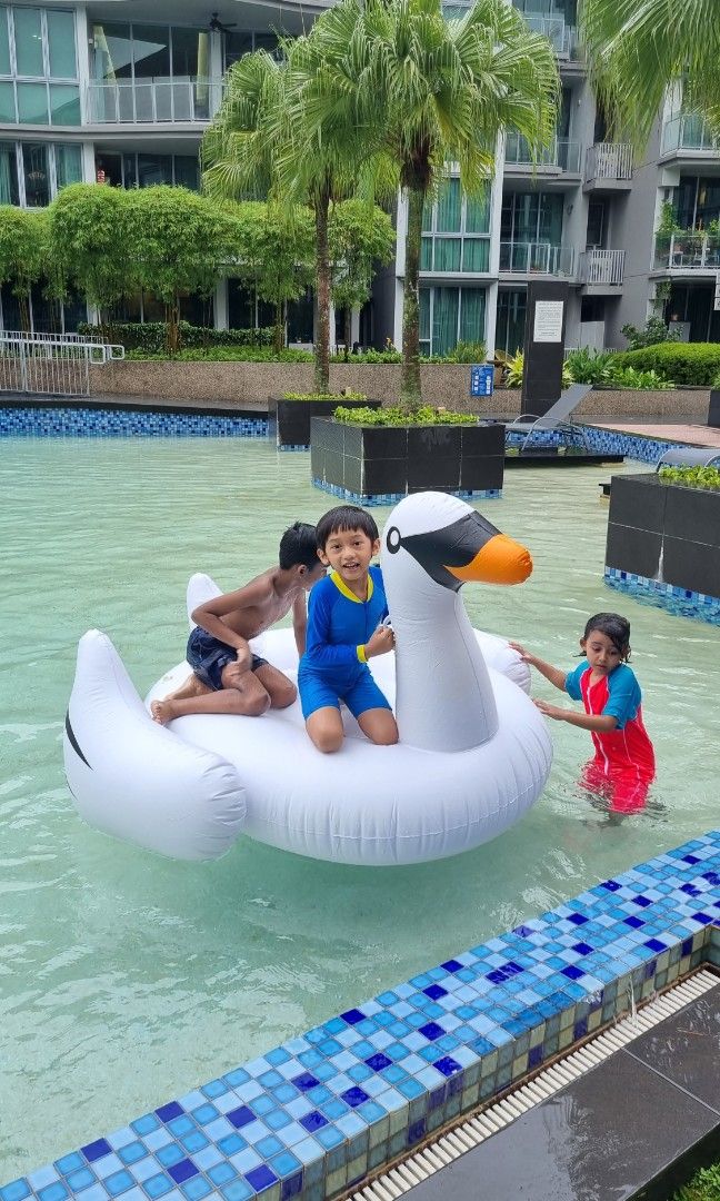 Giant Swan Float Swimming Pool Party, Sports Equipment, Sports & Games ...