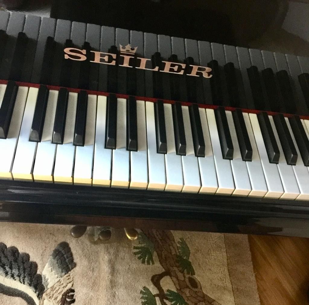 Grand Piano Seiler Germany 1 owner, Hobbies & Toys, Music & Media ...