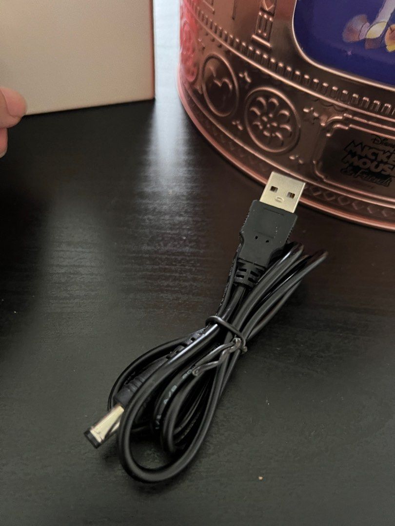 Mickey Mouse Mooncake Music Box, Hobbies & Toys, Music & Media, Music ...