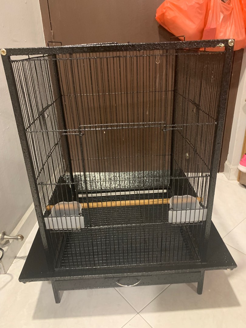 Parrot cage, Pet Supplies, Homes & Other Pet Accessories on Carousell
