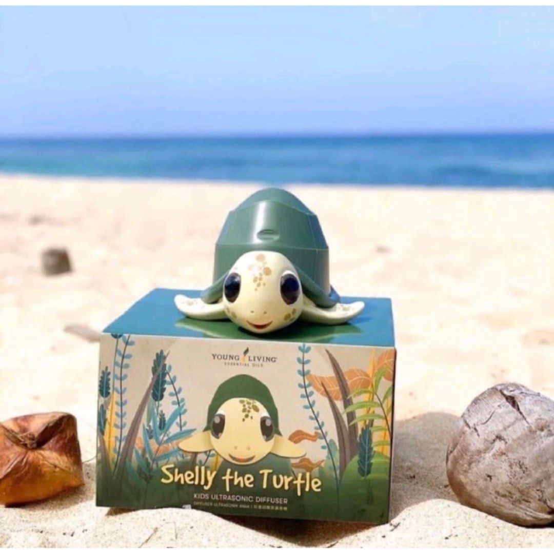 Shelly the turtle diffuser young living, Beauty & Personal Care ...