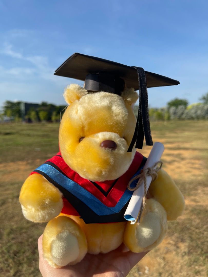 SUSS Graduation Bear, Photography, Photography Accessories, Other ...