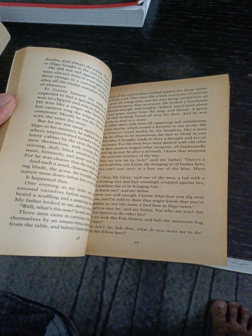 The Secret Scripture By Sebastian Barry, Hobbies & Toys, Books ...