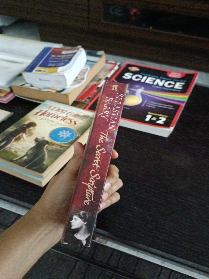 The Secret Scripture By Sebastian Barry, Hobbies & Toys, Books ...