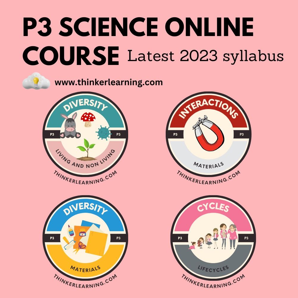 primary science mastery