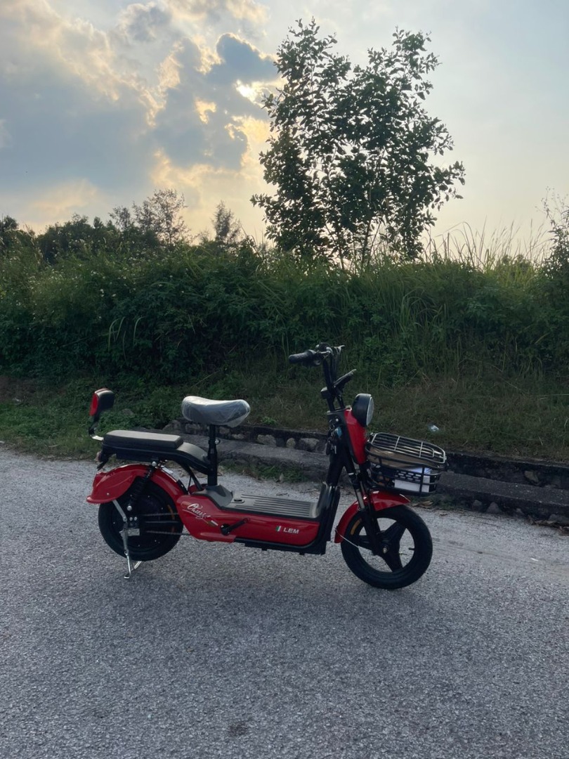 48V Electric Bicycles Bicycle Motor Electric Bike With Pedal 2 Seat [RED] Electric Scooter ...