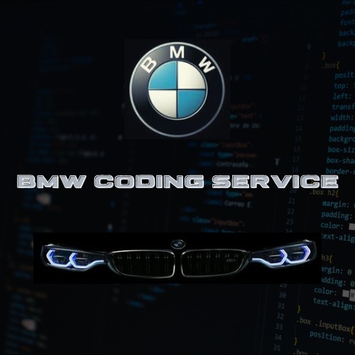 BMW Coding Services (F30, G20, F10, G30, F20, F40, F22, R56, etc.), Car ...