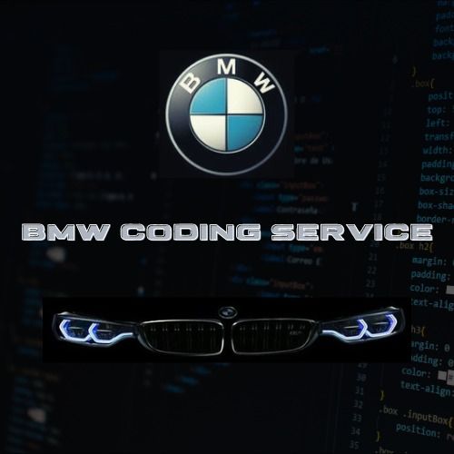 BMW Coding Services (F30, G20, F10, G30, F20, F40, F22, R56, etc.), Car ...