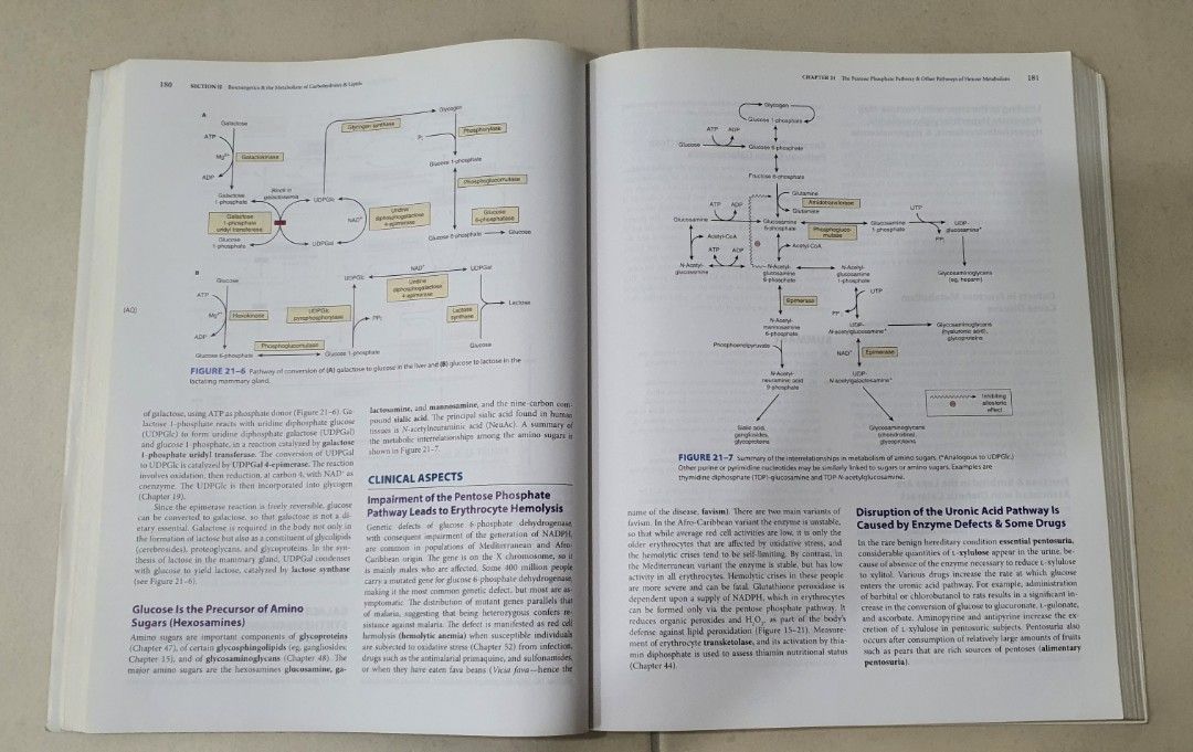 Harper's Illustrated Biochemistry 28th Edition, Hobbies & Toys, Books ...