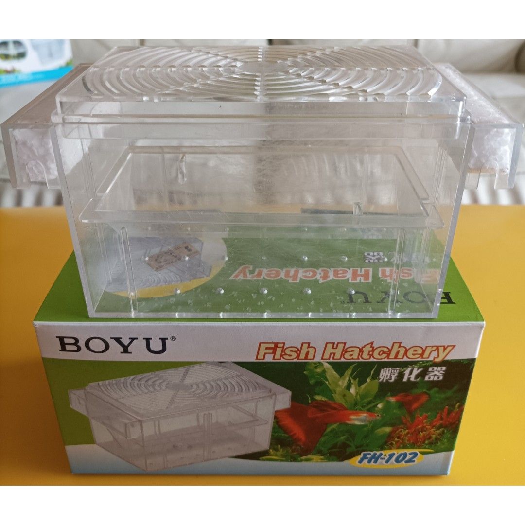 Boyu Fish Hatchery, Pet Supplies, Homes & Other Pet Accessories on ...