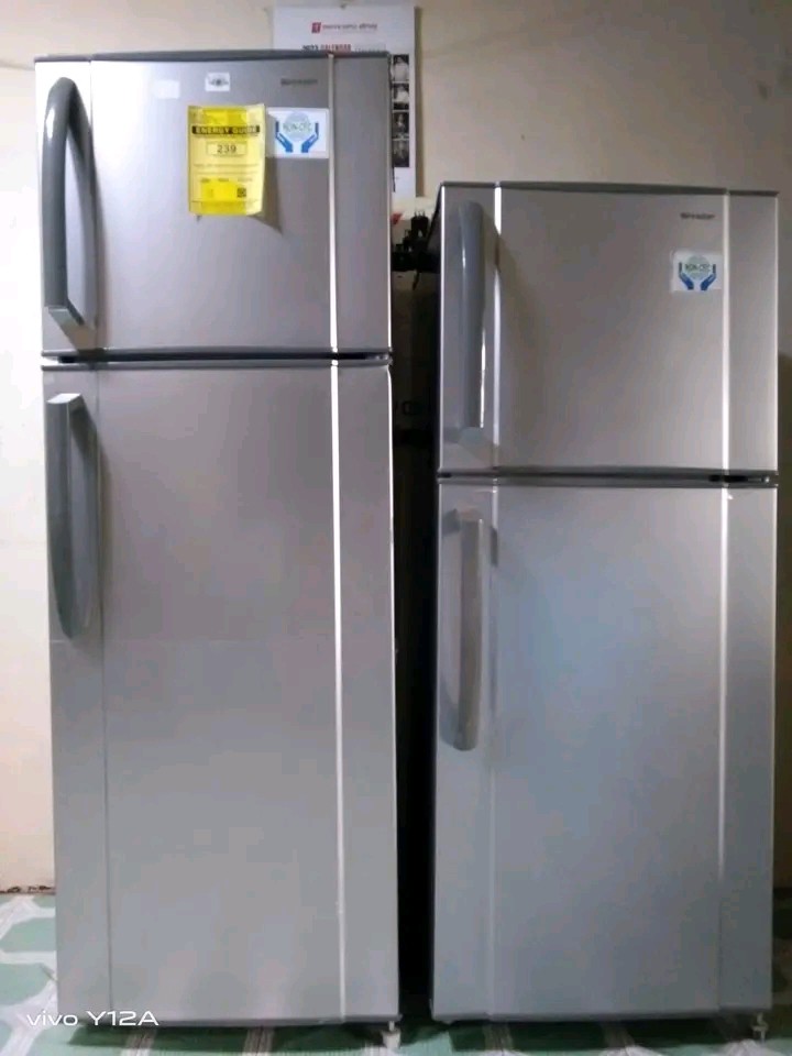 BRANDNEW SHARP REFRIGERATOR 6,8CUFT, TV & Home Appliances, Kitchen ...