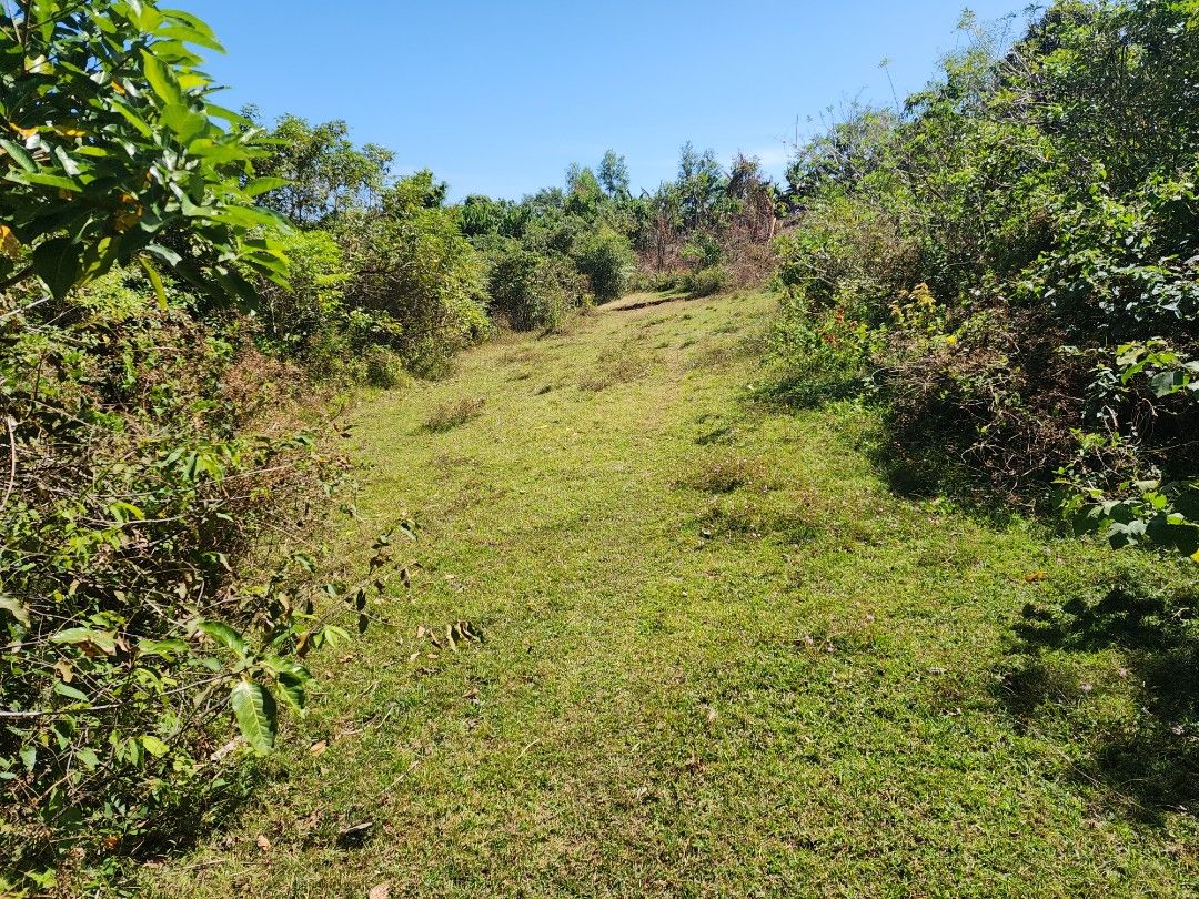 Land 2.29 Hectares in Pulong Yantok, Sta Maria, Bulacan, Property, For ...