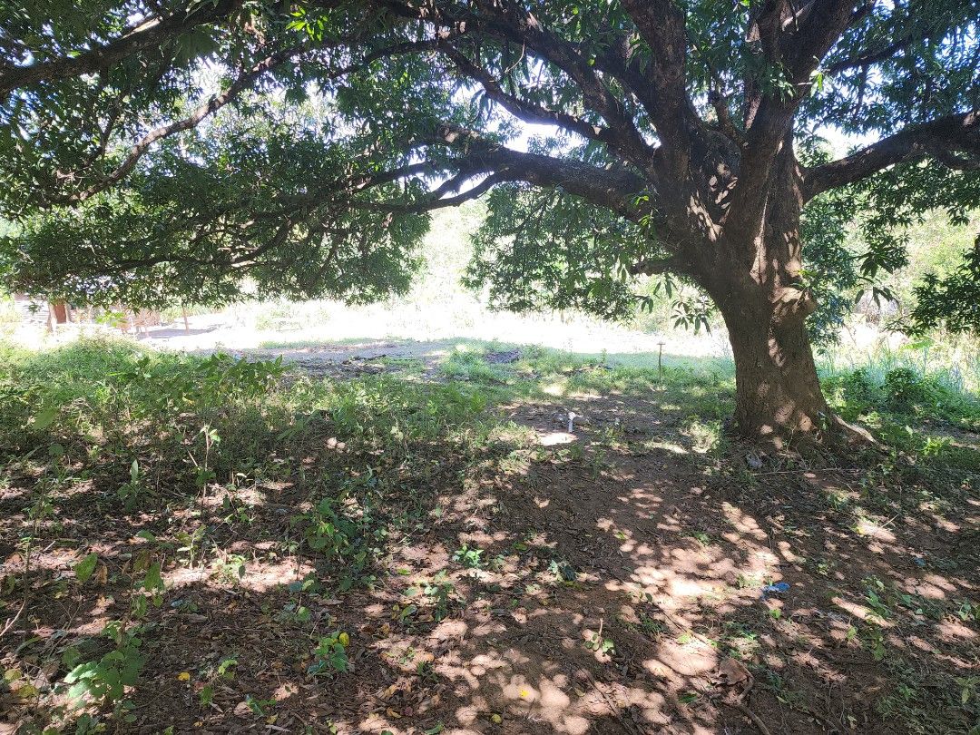 Land 2.29 Hectares in Pulong Yantok, Sta Maria, Bulacan, Property, For ...