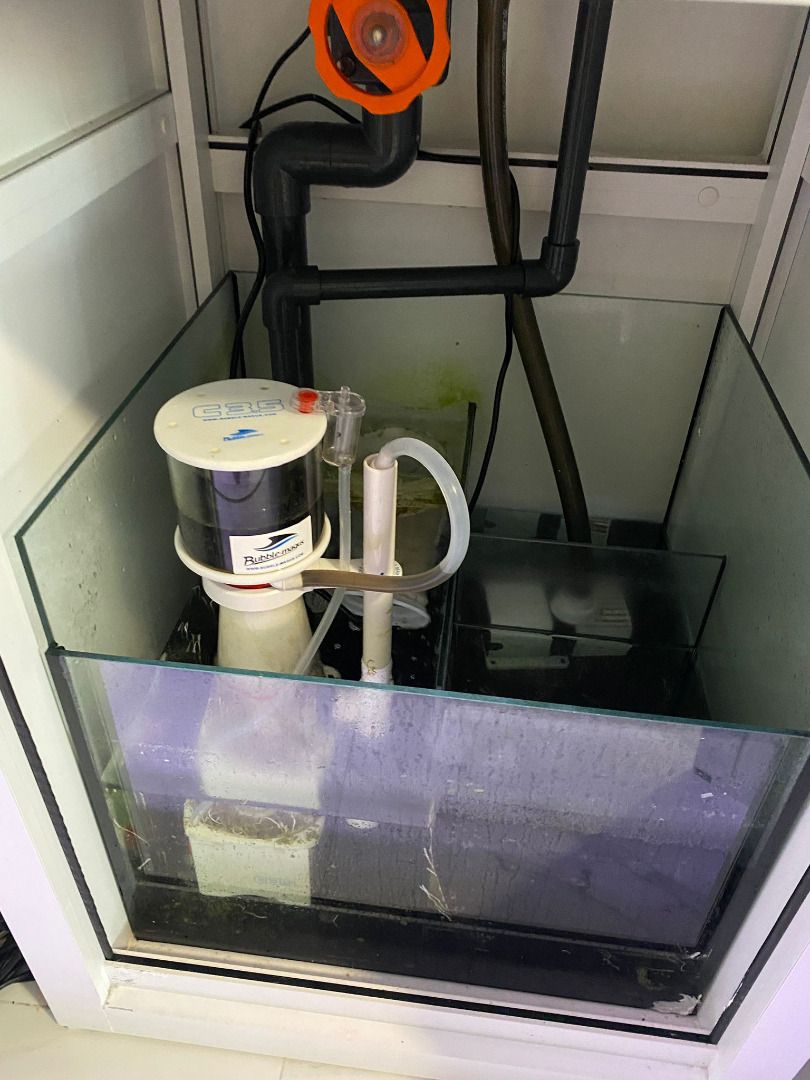 Medium Size Fish Tank with Full Set Sump System, Pet Supplies, Homes ...