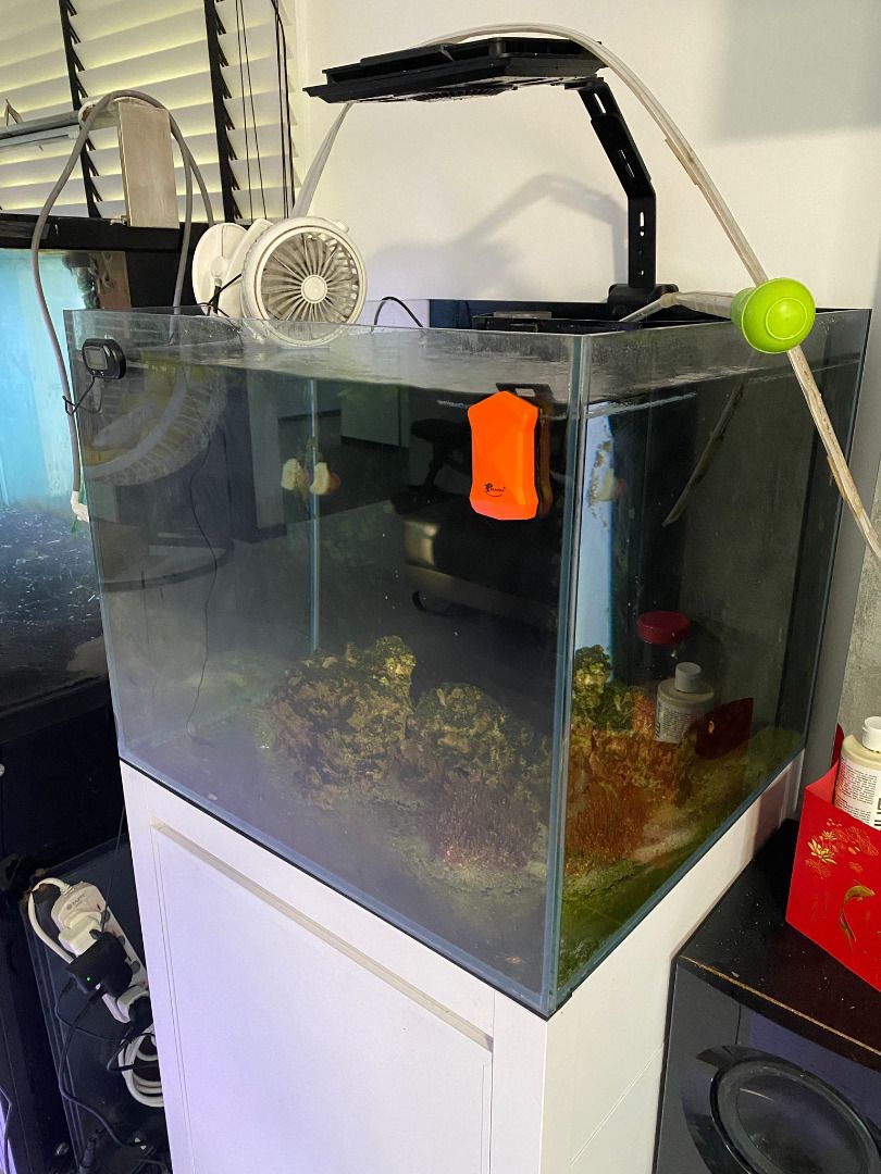 Medium Size Fish Tank with Full Set Sump System, Pet Supplies, Homes ...