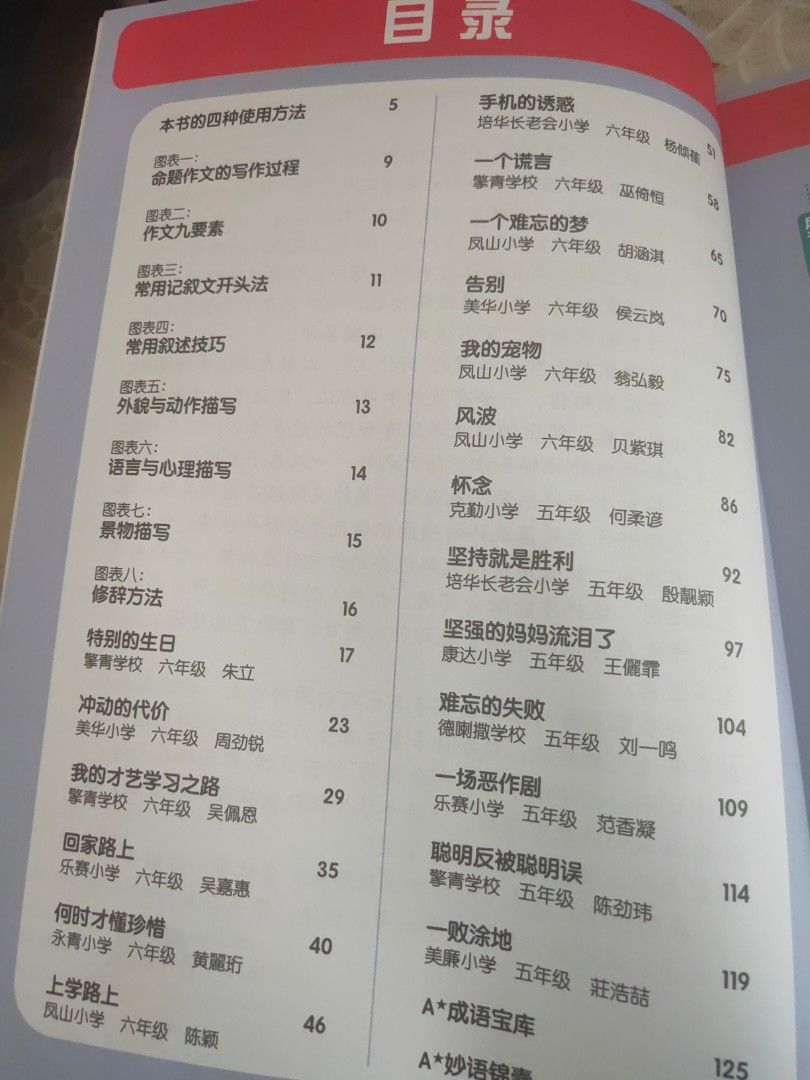 Mindstretcher P6 Chinese compo, Hobbies & Toys, Books & Magazines ...