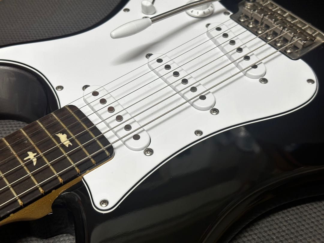 PRS Silver Sky - Bolt-On Signature Silver Sky Series Electric Guitar ...