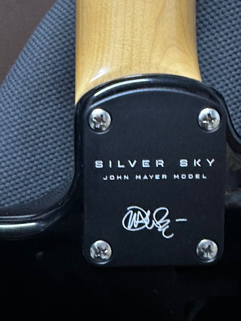 PRS Silver Sky - Bolt-On Signature Silver Sky Series Electric Guitar ...