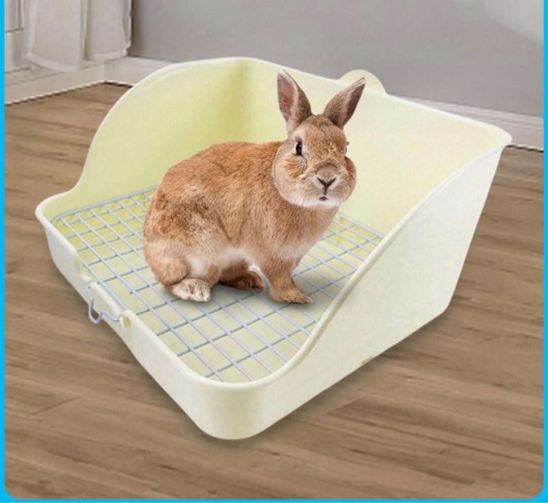 Rabbit poop tray, Pet Supplies, Homes & Other Pet Accessories on Carousell