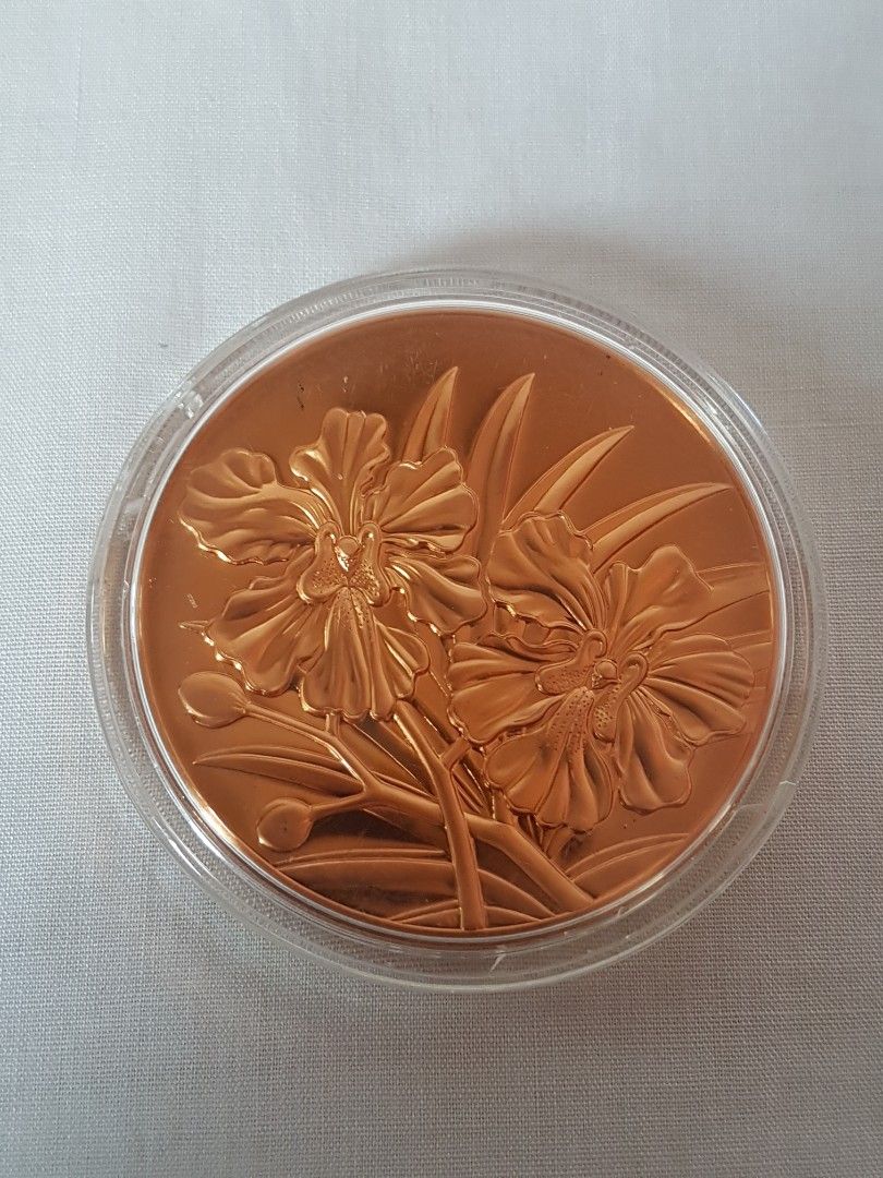 Singapore Airlines Raffles Class A Limited Edition Commemorating ...