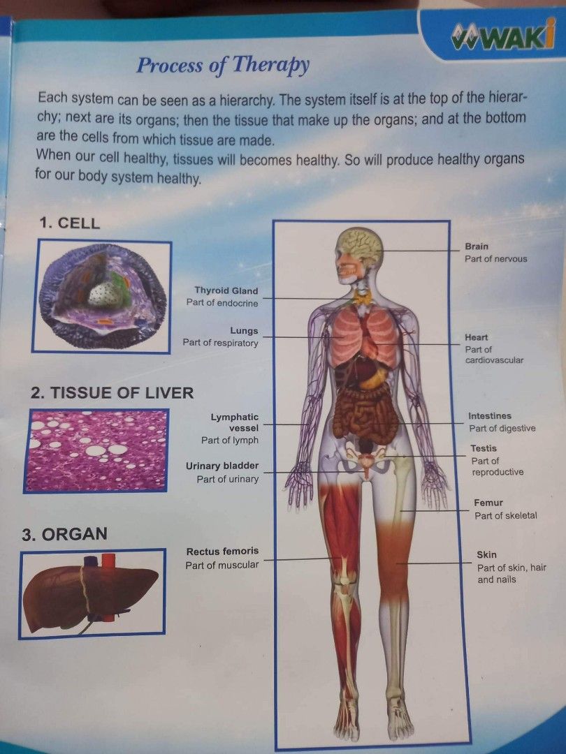 Waki high potential therapy machine, Health & Nutrition, Health ...