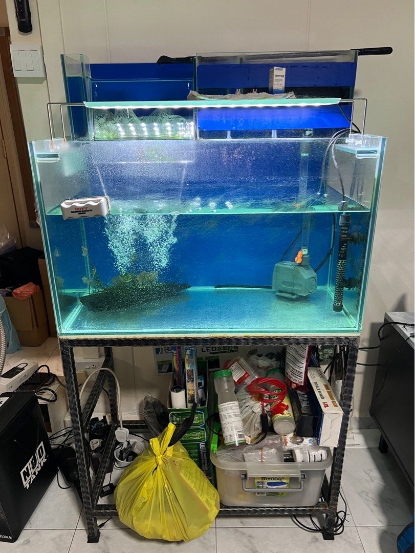 3ft Fish Tank, Pet Supplies, Homes & Other Pet Accessories on Carousell