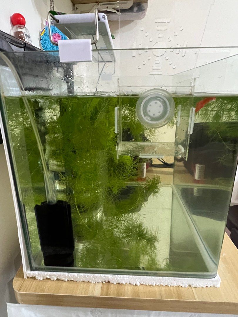45cm fish tank full set with cover, Pet Supplies, Homes & Other Pet ...