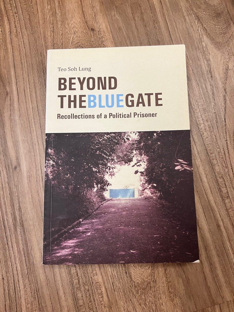 Beyond the Blue Gate by Teo Soh Lung - book, Hobbies & Toys, Books ...