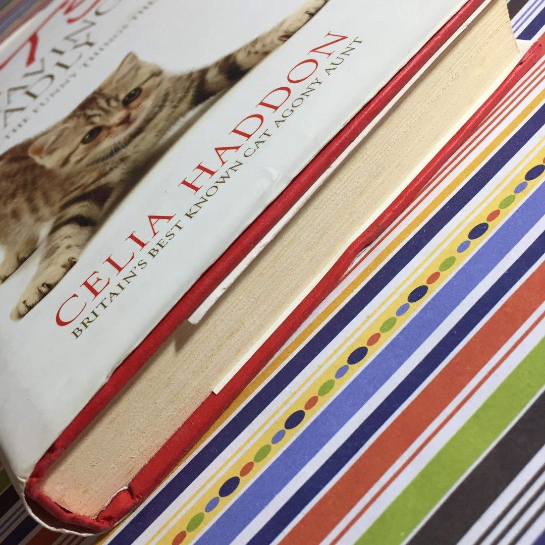 Cats Behaving Badly by Celia Haddon on Carousell