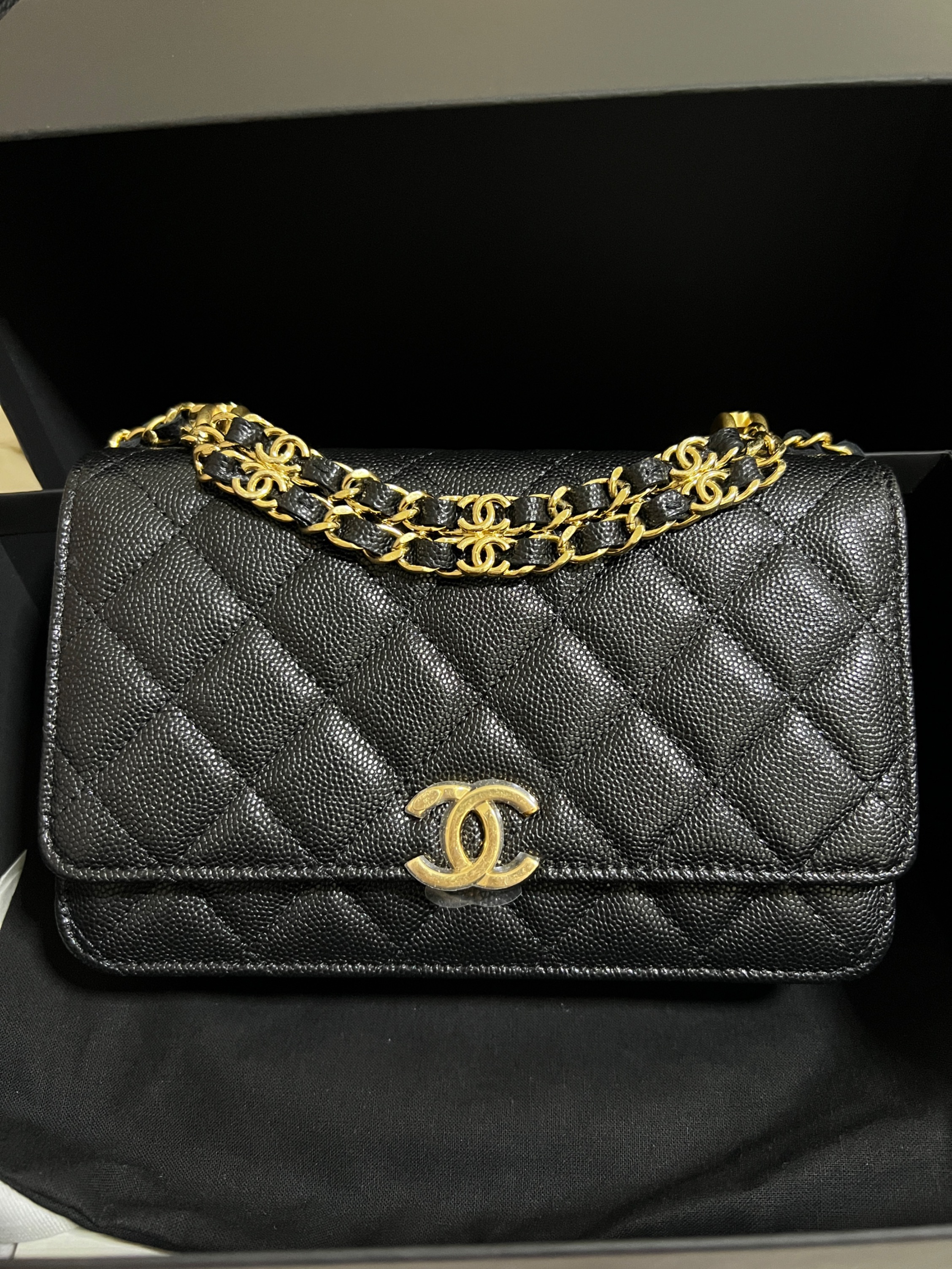 Chanel 22k Woc, Luxury, Bags & Wallets on Carousell