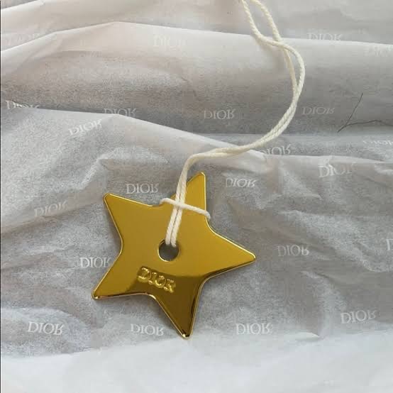 Authentic Dior Holiday Star Ornament , Luxury, Bags & Wallets on Carousell