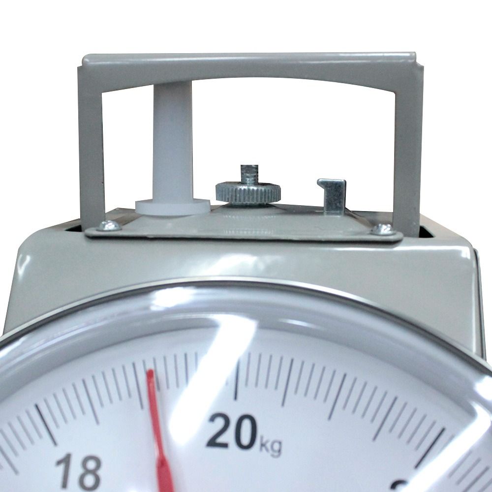 Fruit Vegetables Rice Store 20 kilos Timbangan Weighing Scale with Bowl ...