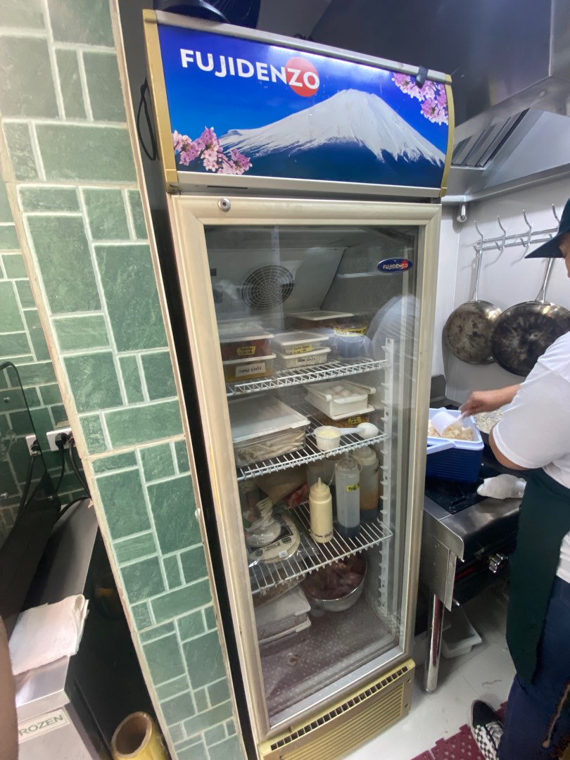 FUJIDENZO Stand Up Ref 9 cu ft, TV & Home Appliances, Kitchen ...