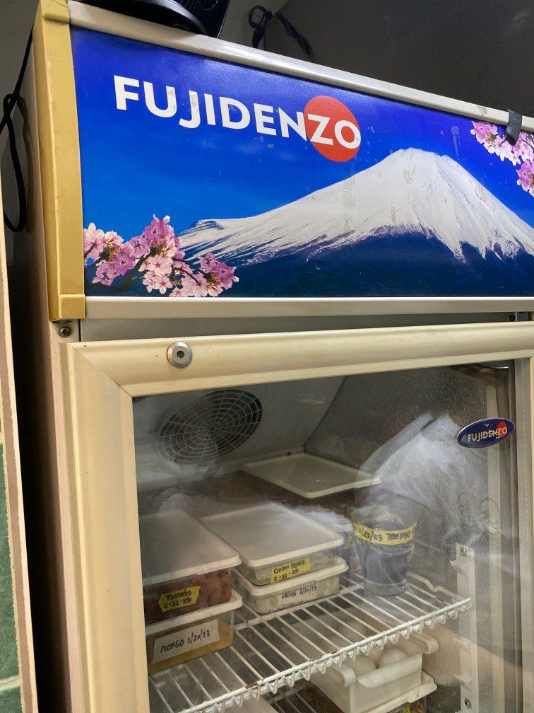 FUJIDENZO Stand Up Ref 9 cu ft, TV & Home Appliances, Kitchen ...